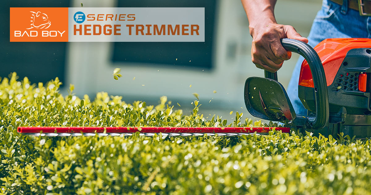 80 volt hedge trimmer store